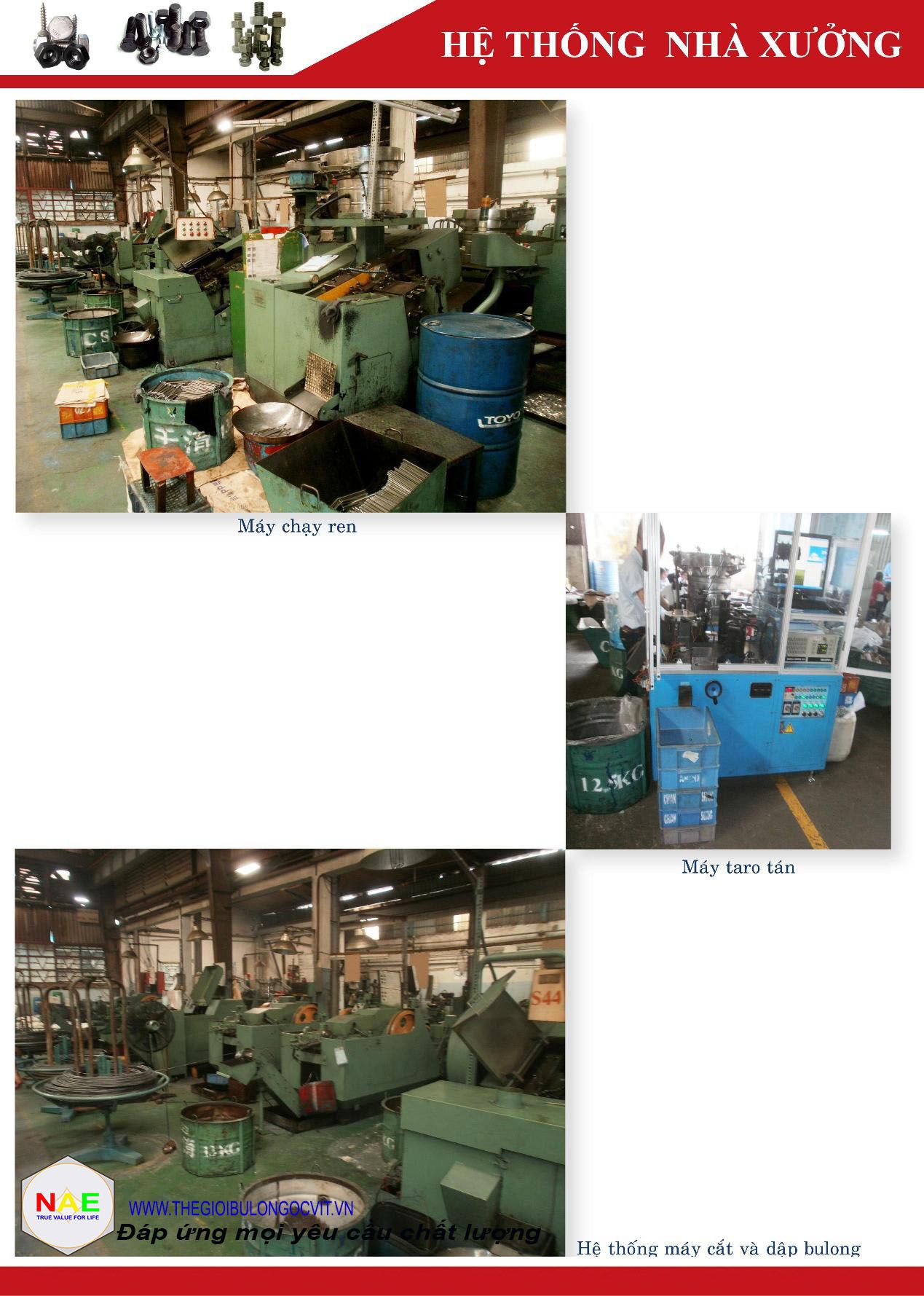 Bulong Inox - Bu lông Inox 201, 304, 316 GIÁ TỐT M5 - M36